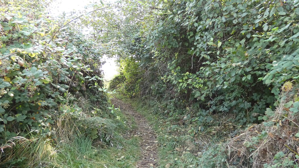 4 Amazing Days Island Hopping in Washington State | The Over Researched ...