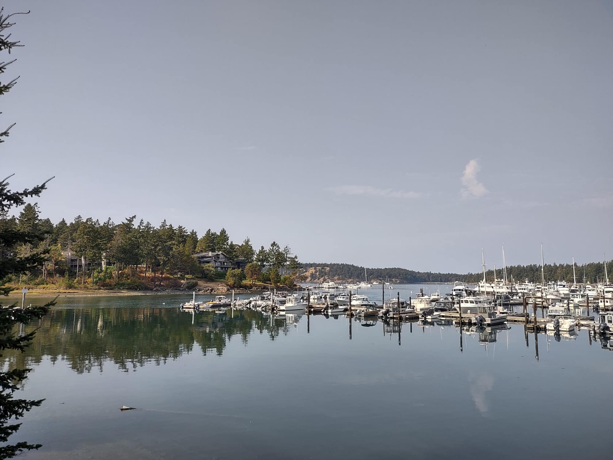 4 Amazing Days Island Hopping in Washington State | The Over Researched ...