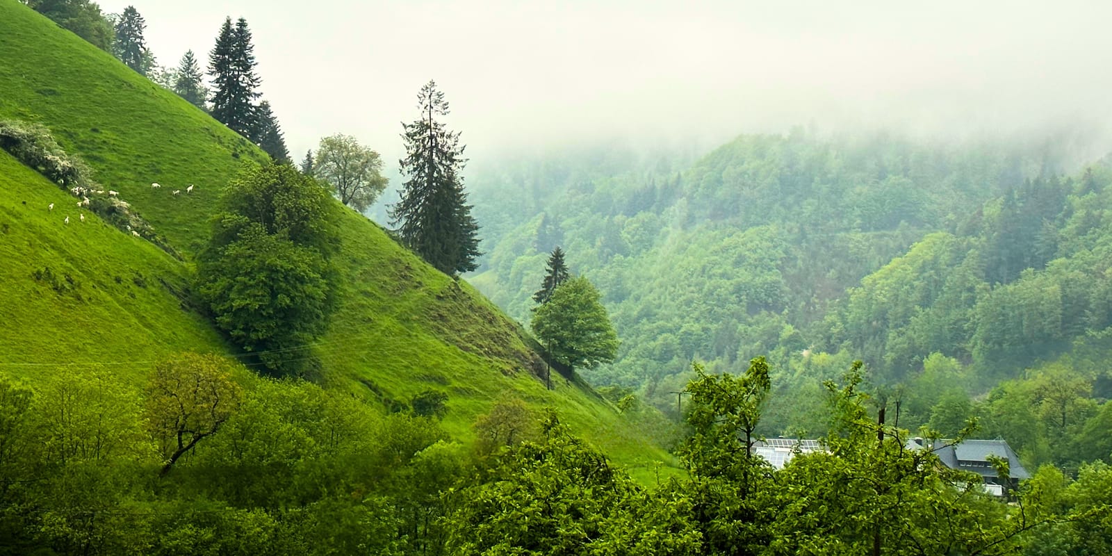 Jess Peterman | Key to the World Travel | Concierge Travel Advisor